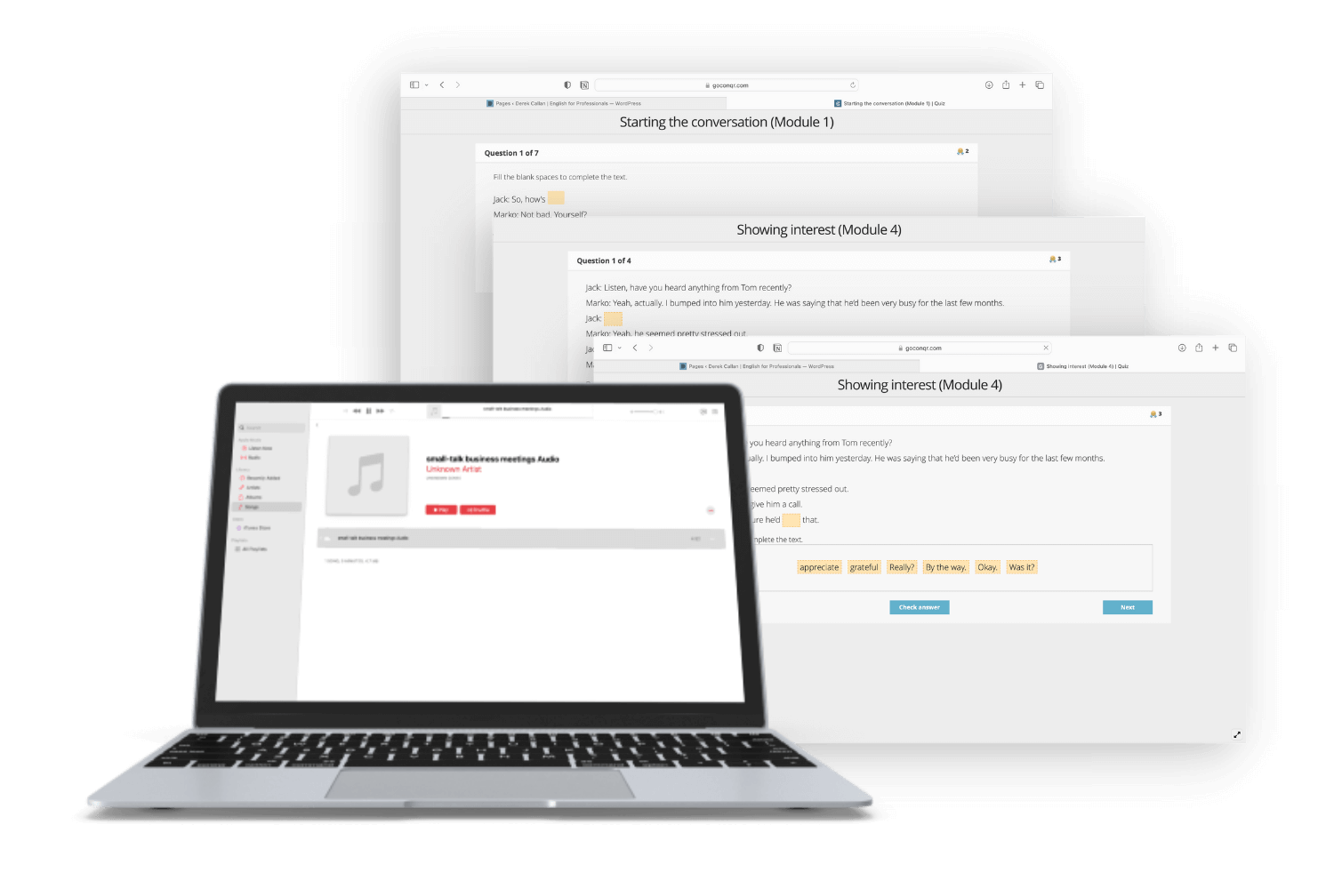 Small Talk for Professionals - Derek Callan English for Professional