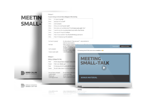 Small Talk for Professionals - Derek Callan English for Professional
